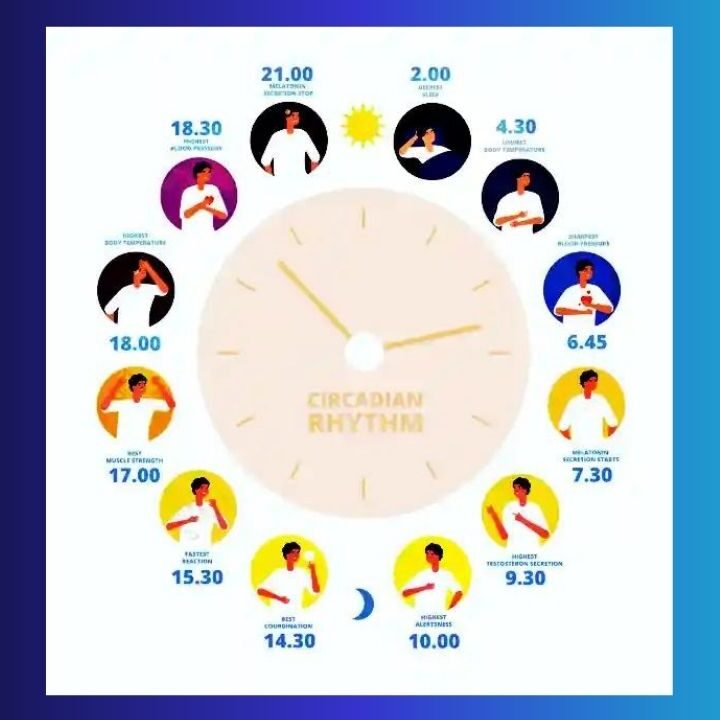 Ritmo Circadiano, o que é e como Funciona?